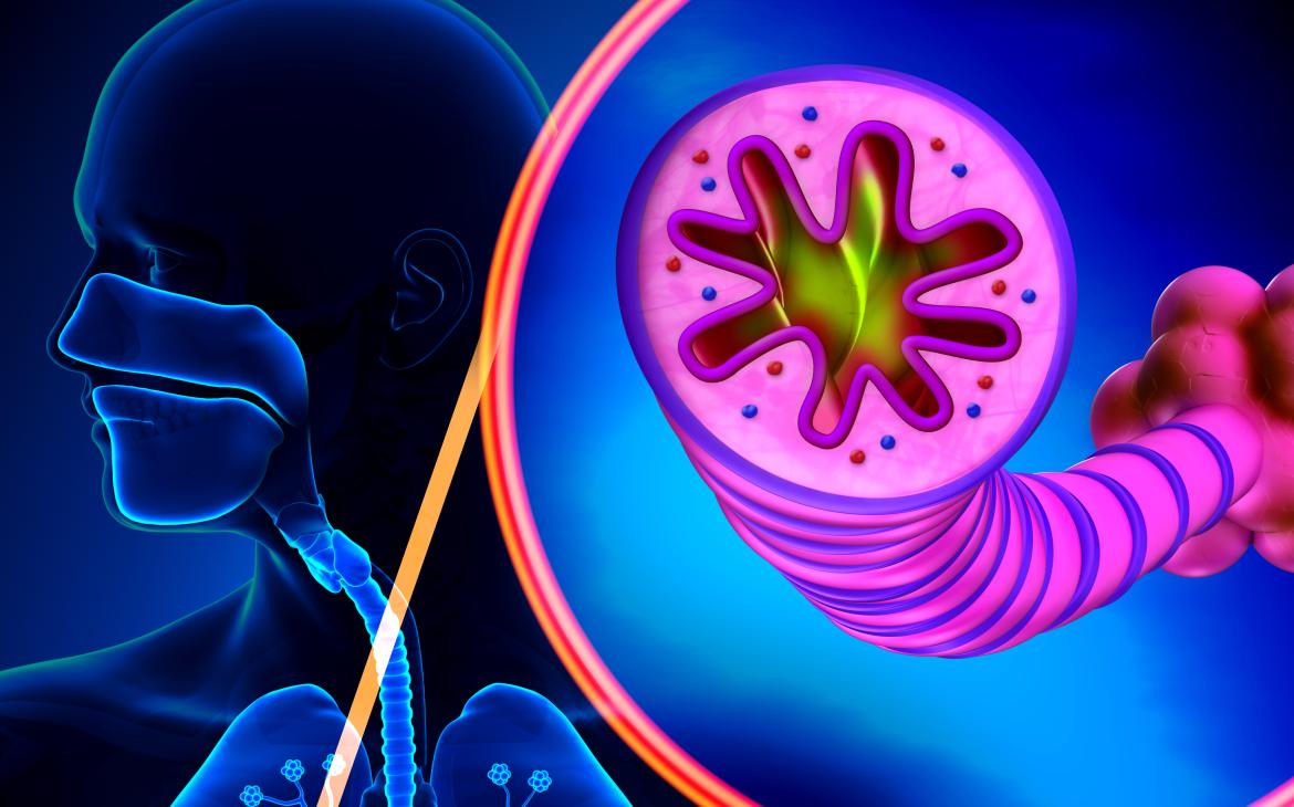 Understanding Asthma: Causes, Symptoms, and Treatment - SaveAndSearch.net